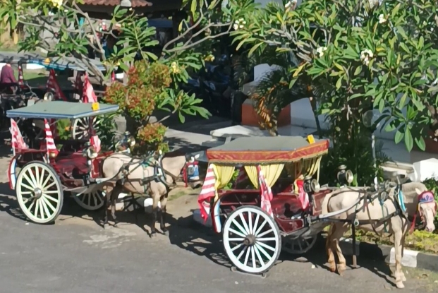 Daftar ke KPU, Partai Kebangkitan Nusantara Bali Datang Bawa 9 Dokar ...