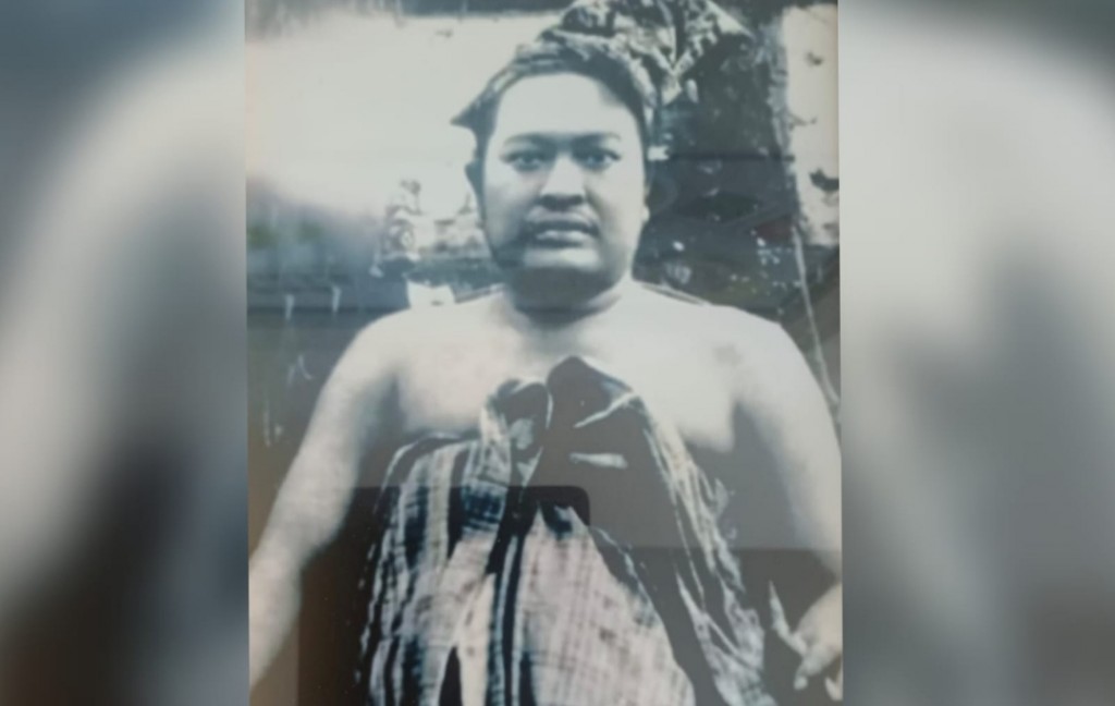 Ida Dewa Agung Jambe Tokoh Bali Kedelapan yang Dianugerahi Gelar ...